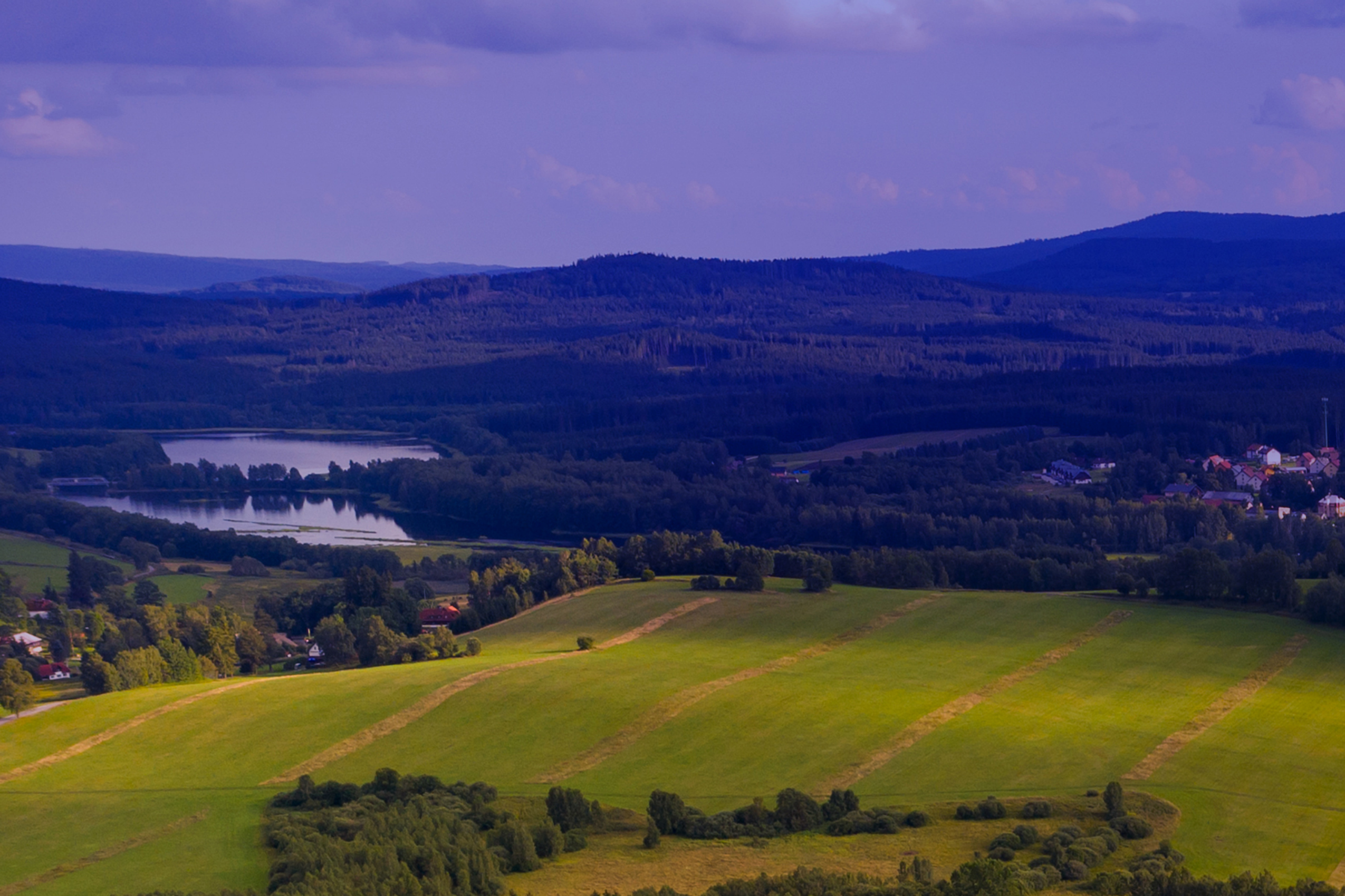 Finance for Directors | Henley Business School